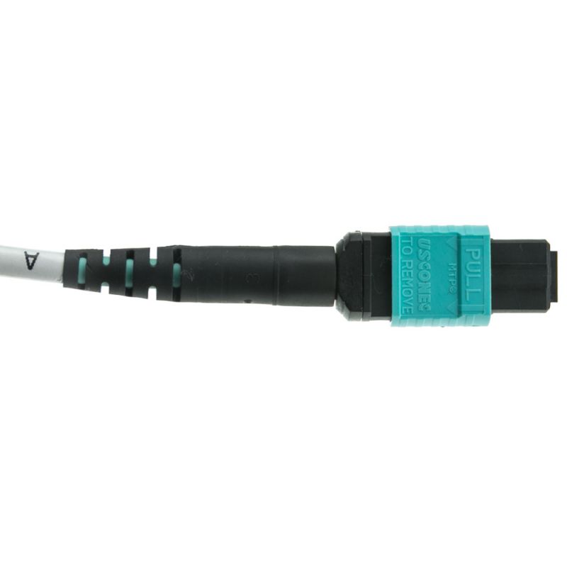 Mtp 24-Strand Om3 40/100 Gigabit Type-A Fiber Optic Cable