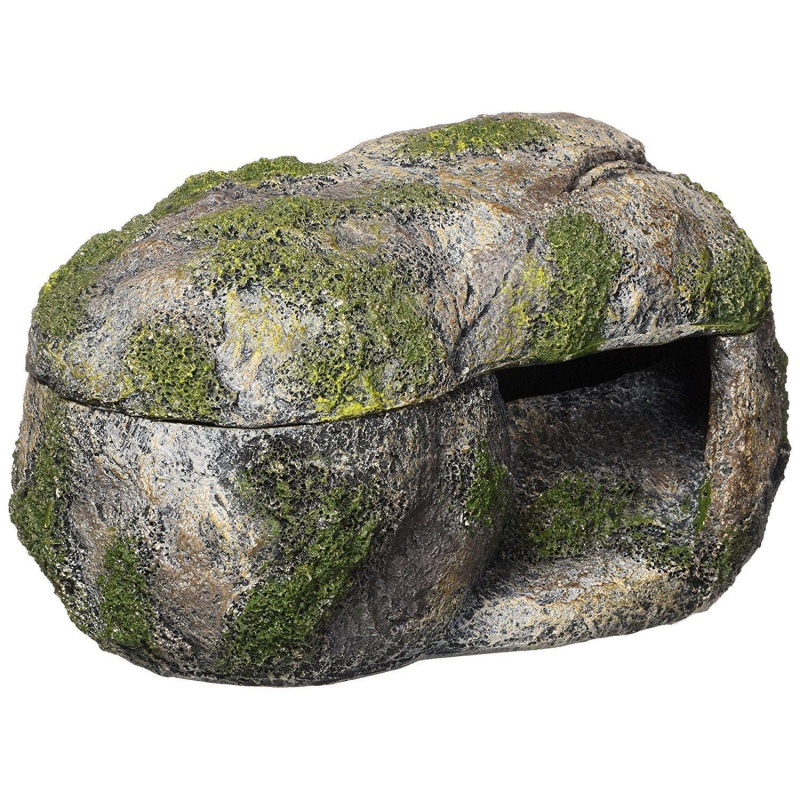 Zilla Rock Lair Medium