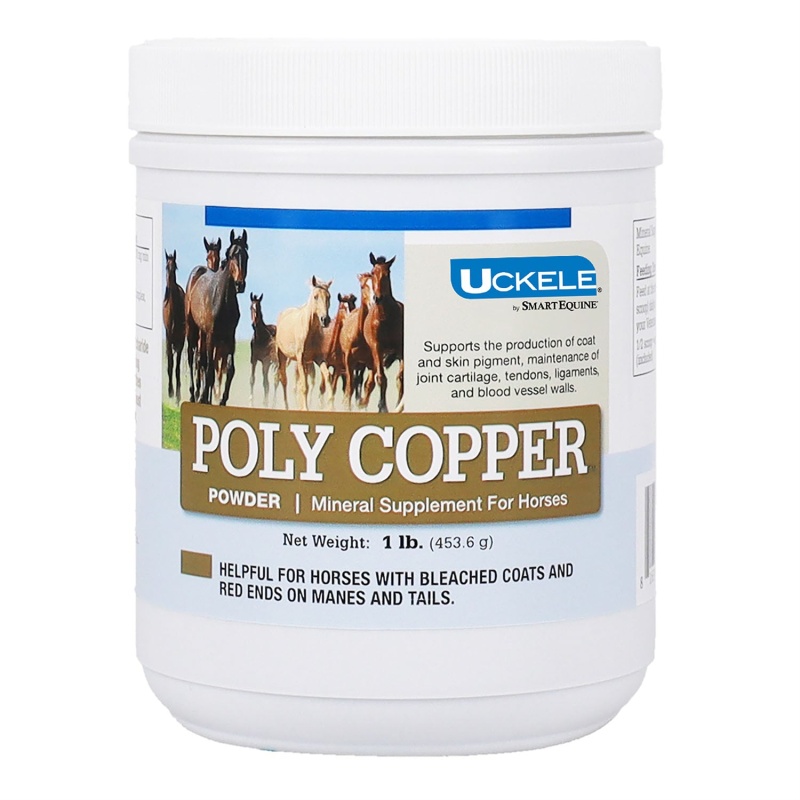 Poly Copper, Mineral Supplement For Horses, Powder - 1 Lb