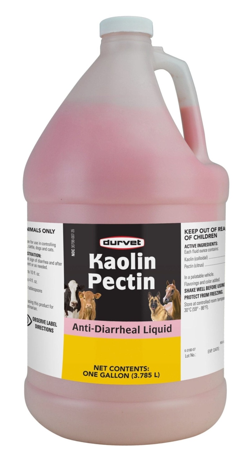 Durvet Kaolin Pectin Solution, Gallon - Effective Diarrhea Relief
