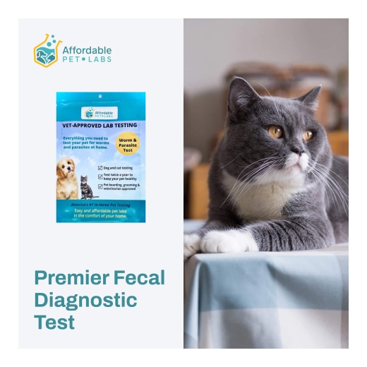 Affordable Pet Labs - Premier Fecal Diagnostic Test For Cats, Easy Home Kit
