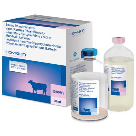 Bovigen Platinum 5 L5 Cattle Vaccine For Respiratory & Reproductive ...