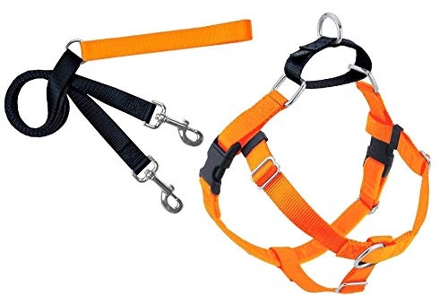 Buy 2 Hounds Design Freedom No-Pull Dog Harness Training Package Online