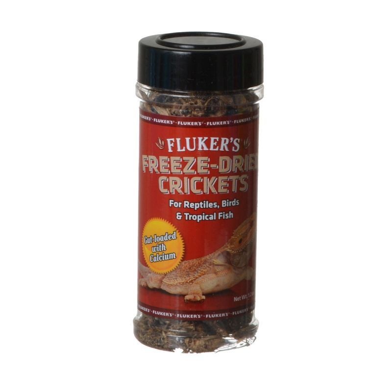 Flukers Freeze-Dried Crickets - 1.2 Oz