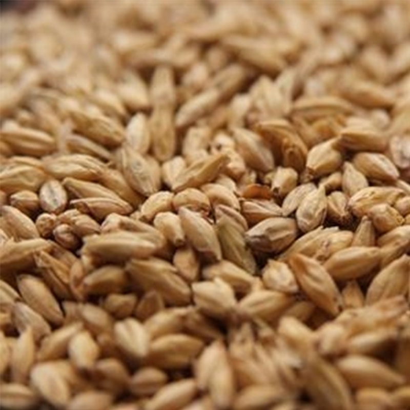 High Dp Distillers Malt | Rahr Malting