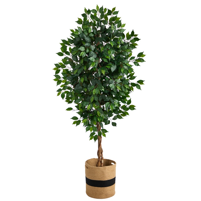 6 Foot Ficus Artificial Tree in Natural Cotton Planter for Indoor ...