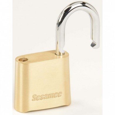 Ccl Padlocks - Buy Online 4-Dial Resettable Brass Body Padlocks with ...
