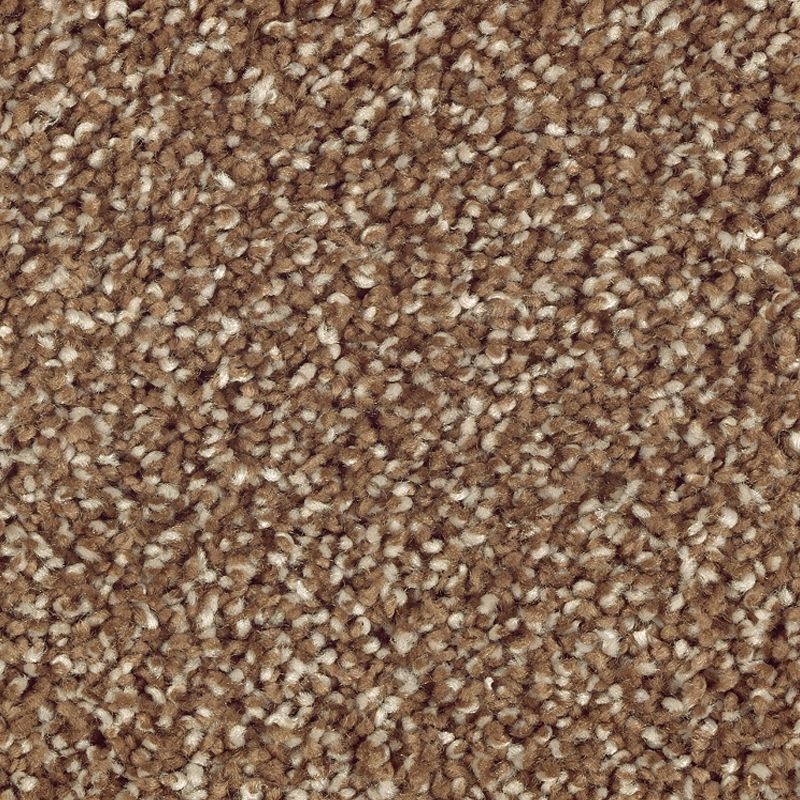 Stonington Manor Ii Cat Tail Triexta Carpet - Textured