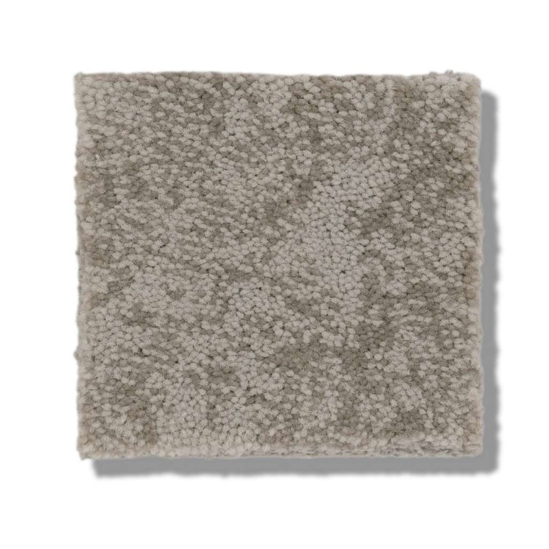 Buy Caress By Shaw State Of Mind Stucco Nylon Carpet - Pattern Online