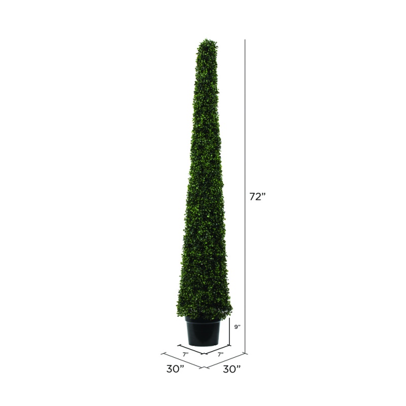 6' Potted Boxwood Cone Uv
